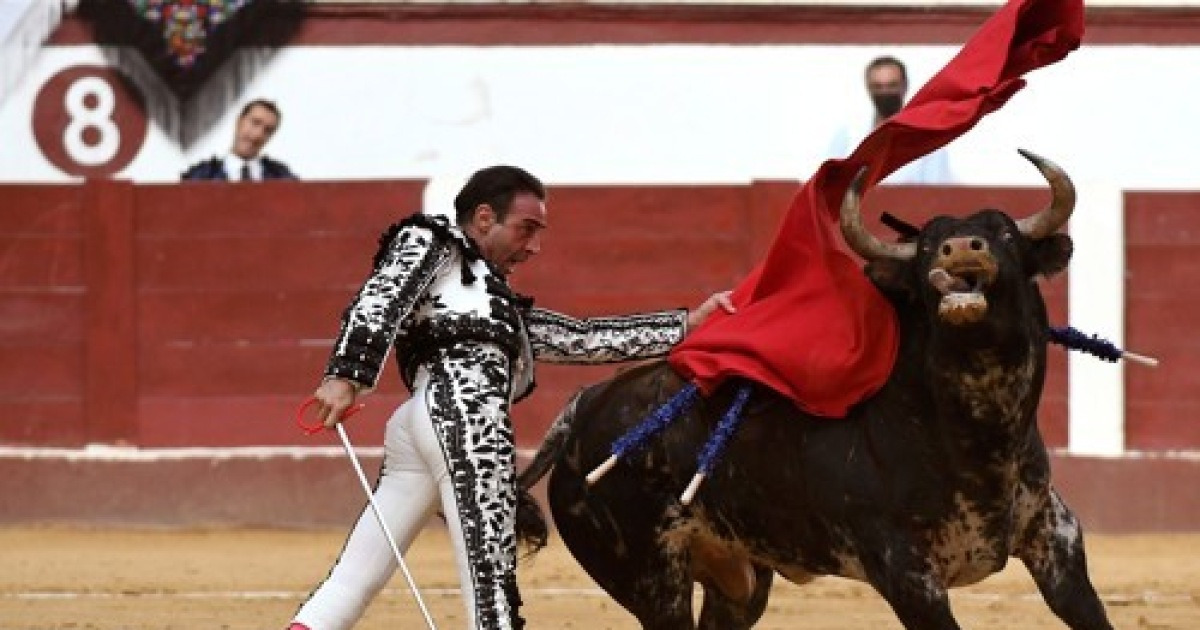 SPAIN BULLFIGHTING