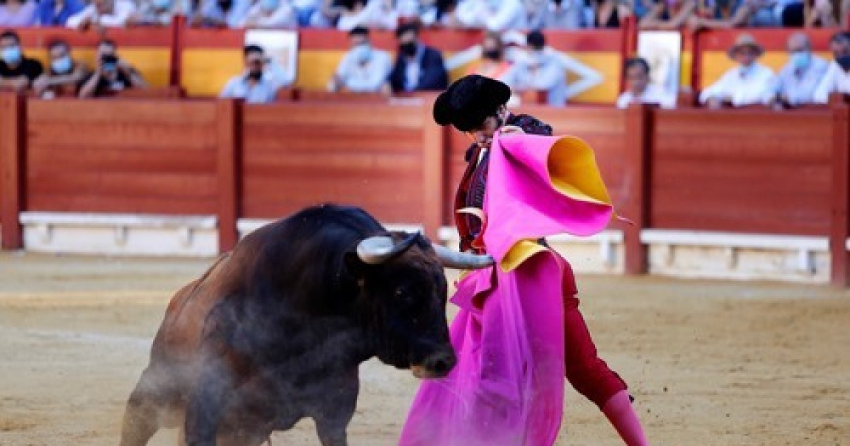 SPAIN BULLFIGHTING