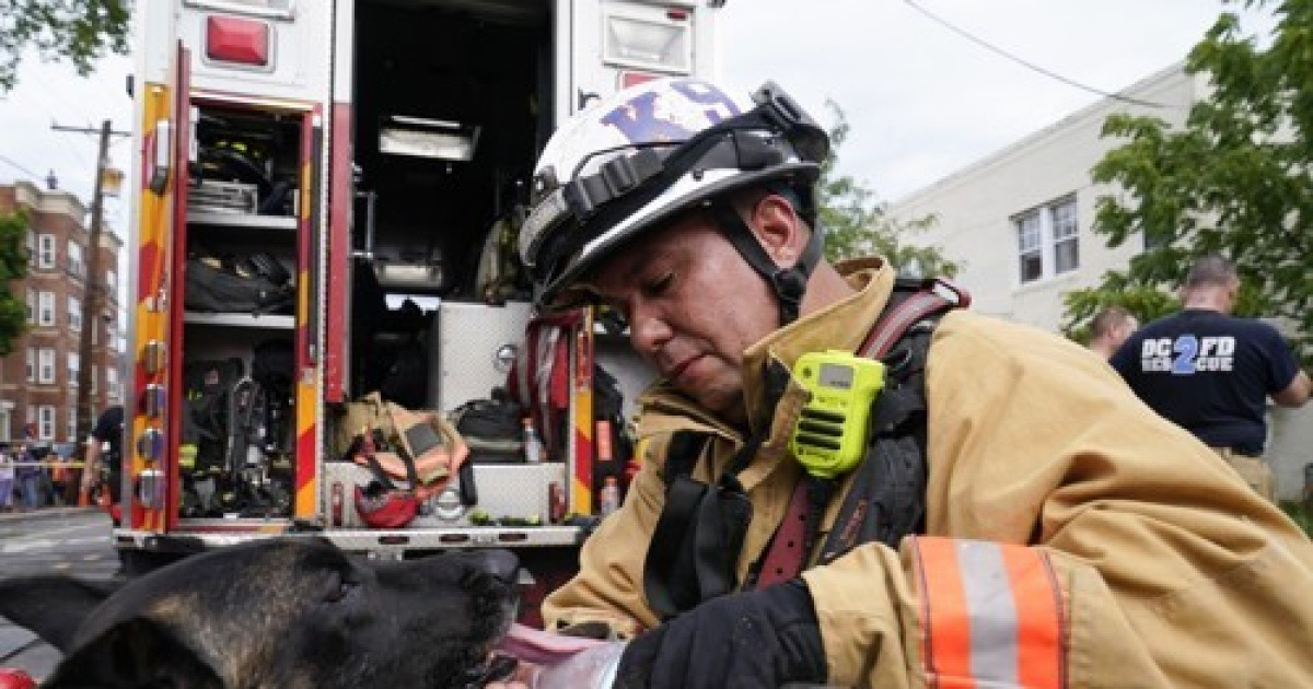 Home Collapse Nations Capital