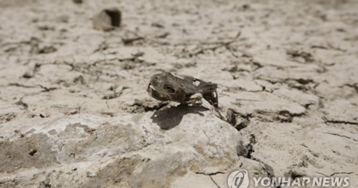 YEMEN WEATHER DROUGHT