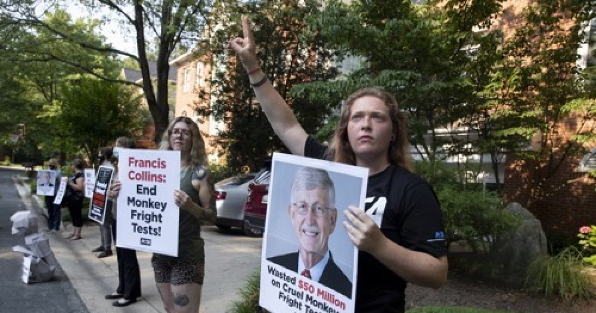 USA PETA PROTEST NIH MONKEY EXPERIMENTS