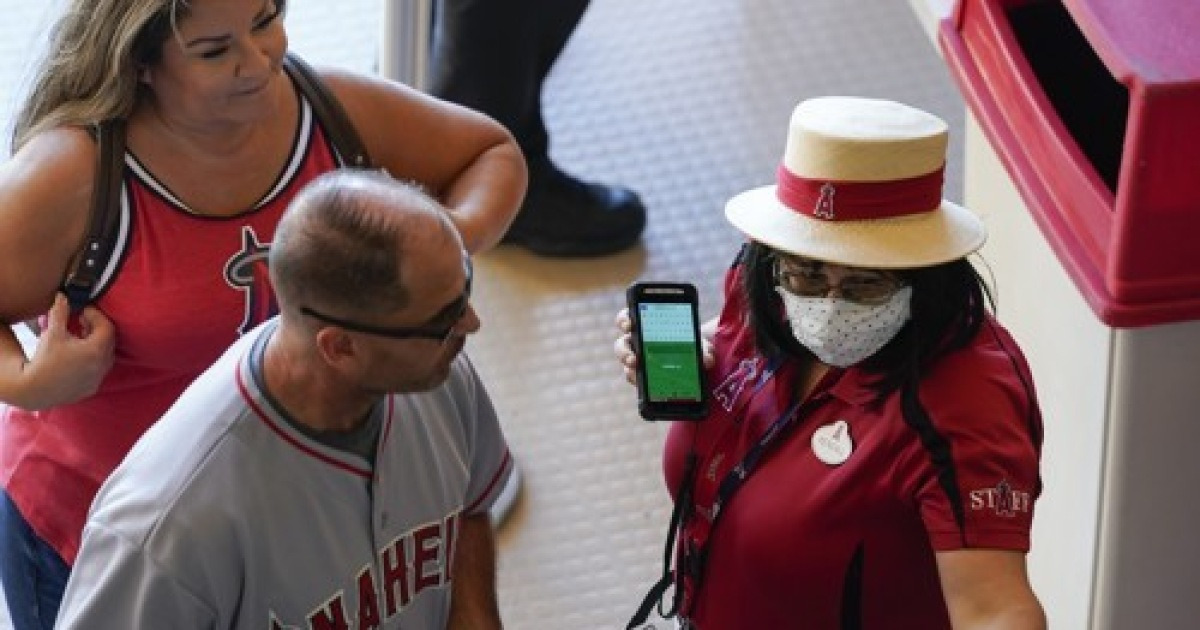 Ballparks Back To Work BAseball