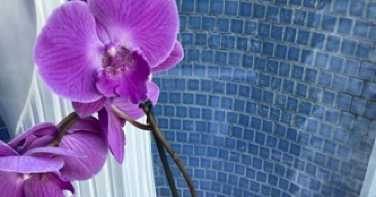 Building Collapse-Retrieving Keepsakes