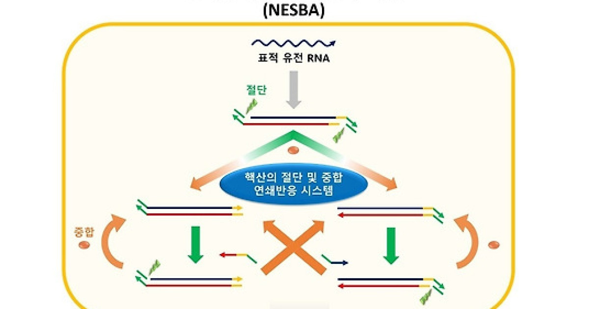 KAIST, RNA 바이러스 초고감도 검출 기술 개발