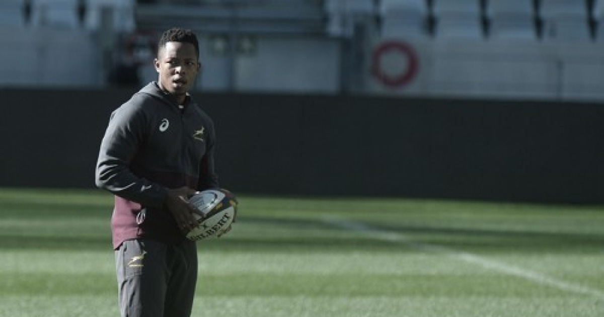 SOUTH AFRICA SPRINGBOK TRAINING