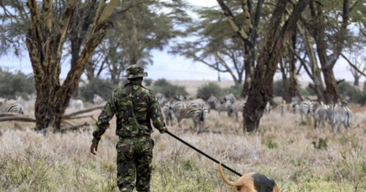 KENYA CONSERVATION WORLD RANGERS DAY