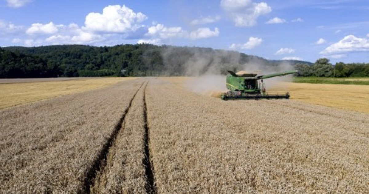 POLAND AGRICULTURE
