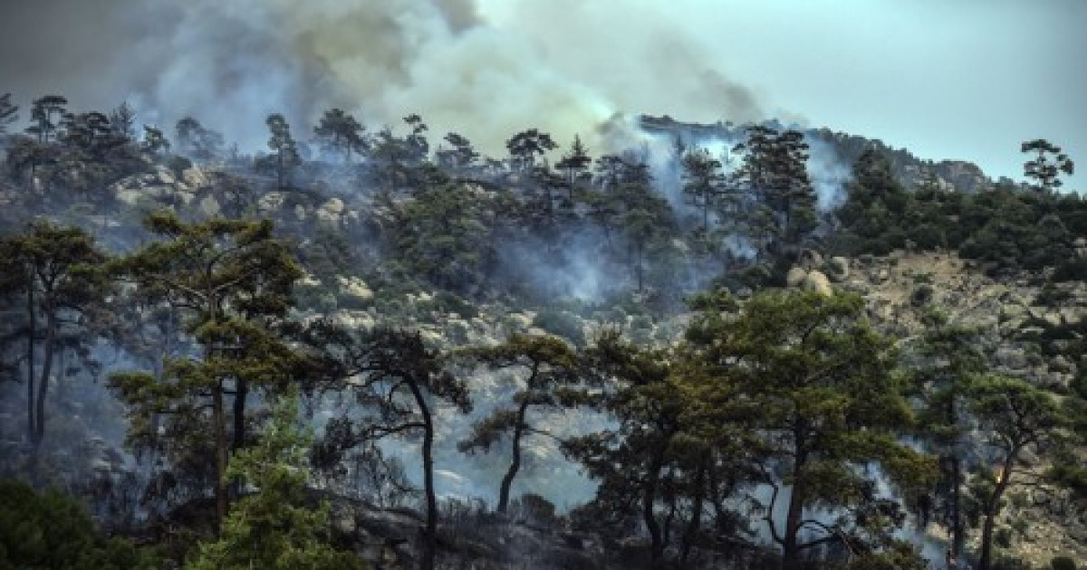 Turkey Wildfires