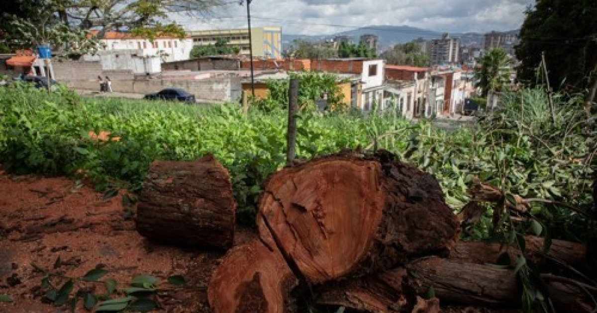 VENEZUELA ENVIRONMENT