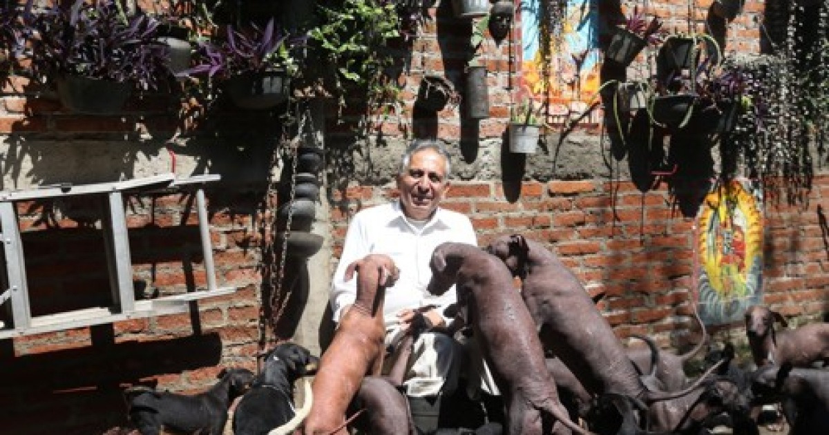 MEXICO DOGS TRADITIONS
