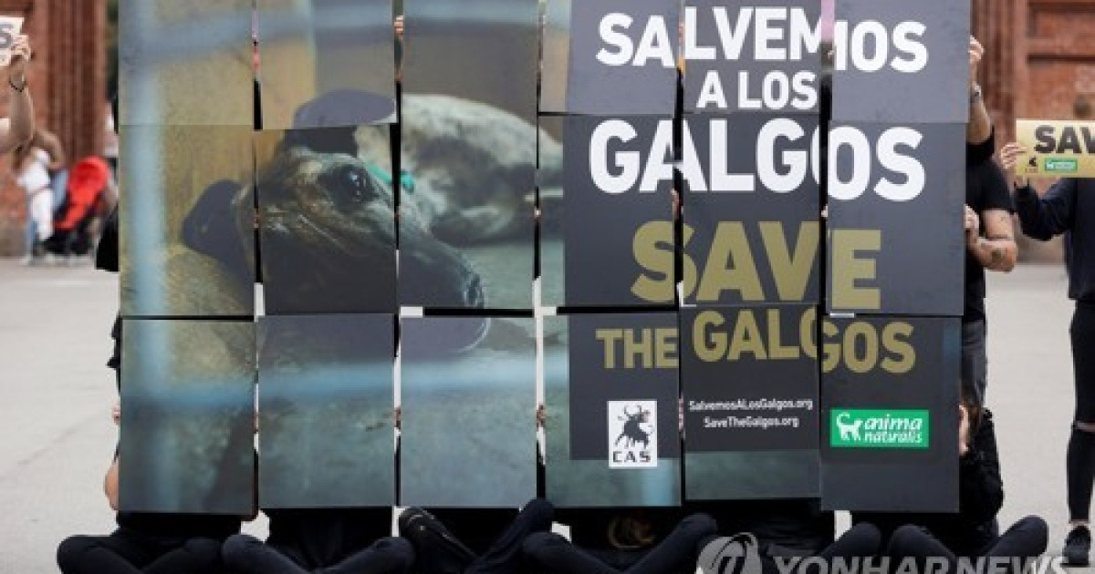 SPAIN PROTEST ANIMALS