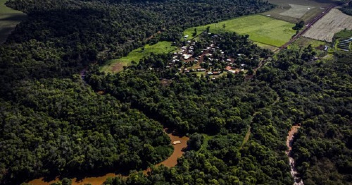 Paraguay Ache Indigenous Town Anniversary