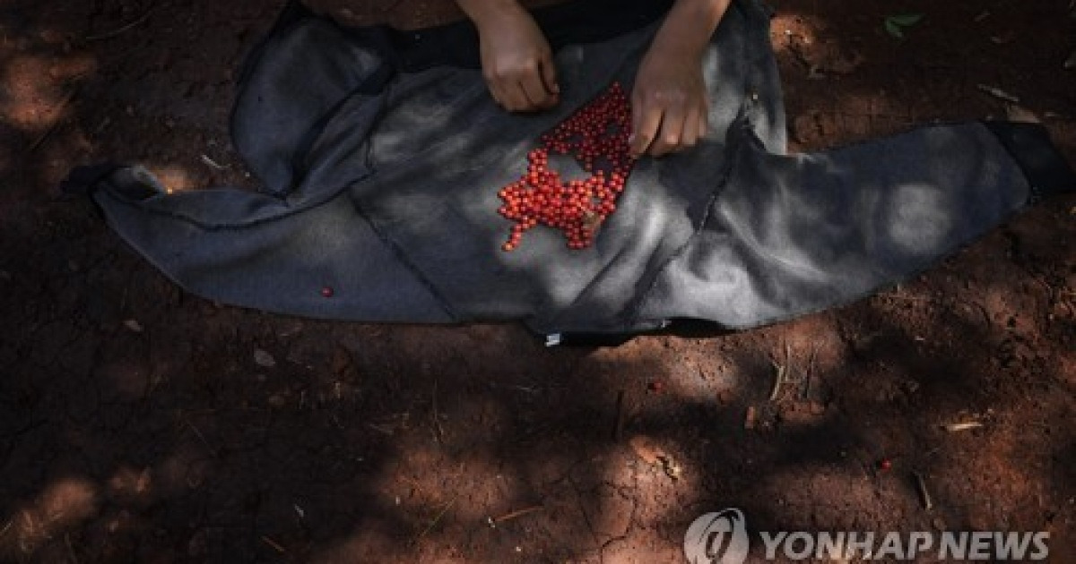 Paraguay Ache Indigenous Town Anniversary