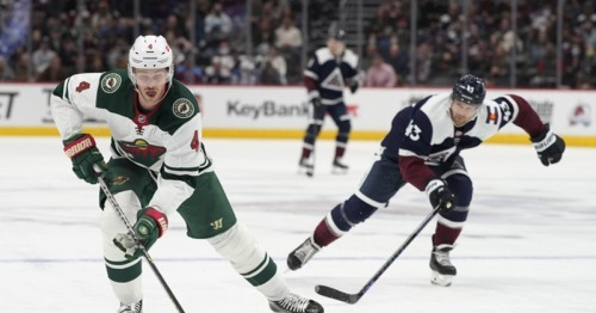 Wild Avalanche Hockey