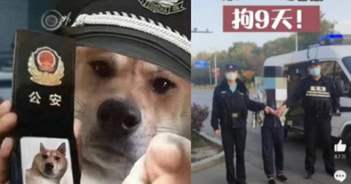 [여기는 중국] "감히 경찰을 모독해?".. '개 공안' 이모티콘 채팅방 올린 주민 구속