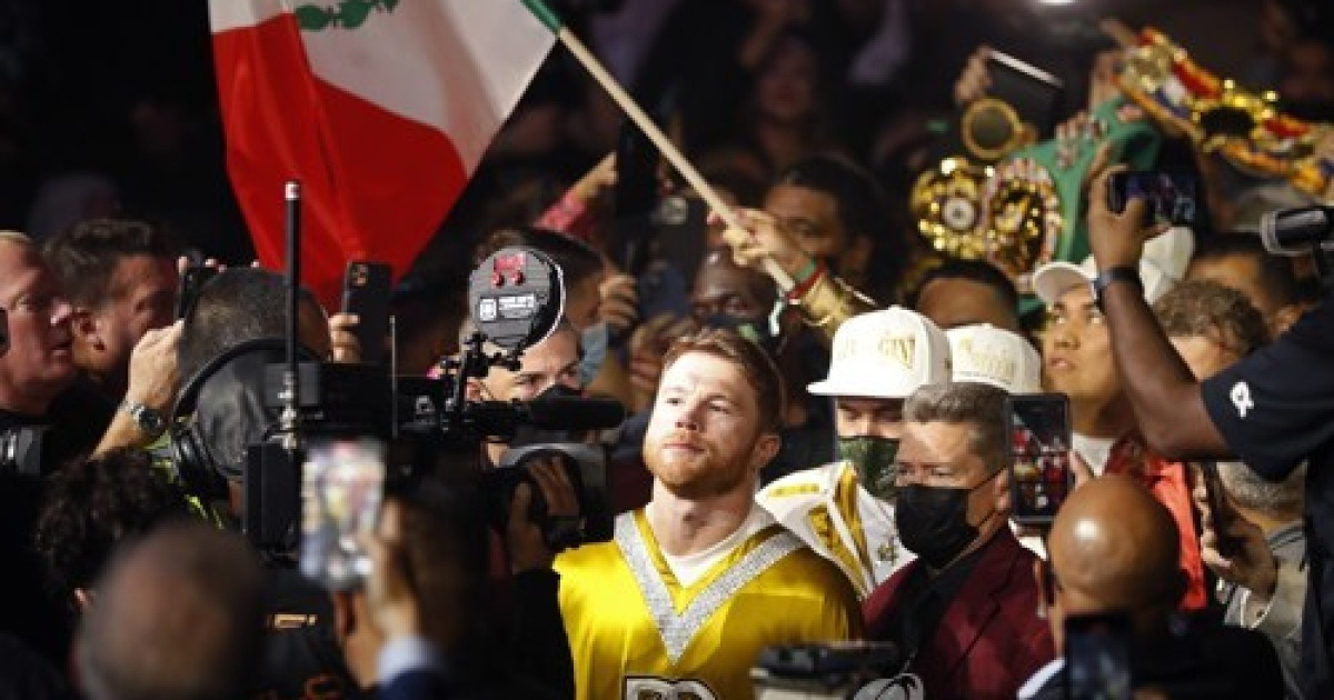 Alvarez Plant Boxing