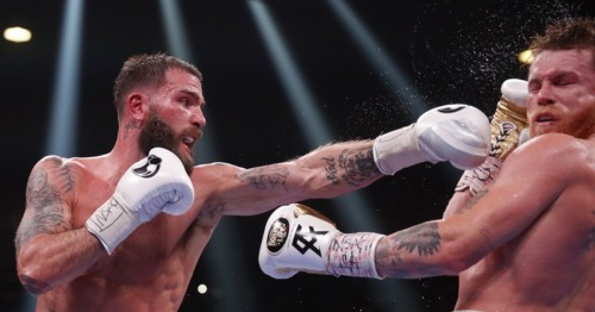 Alvarez Plant Boxing