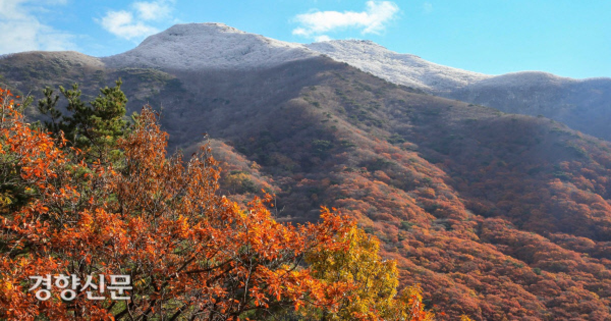 지리산 첫눈과 단풍 [경향포토]