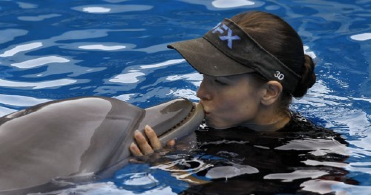 Famous Dolphin