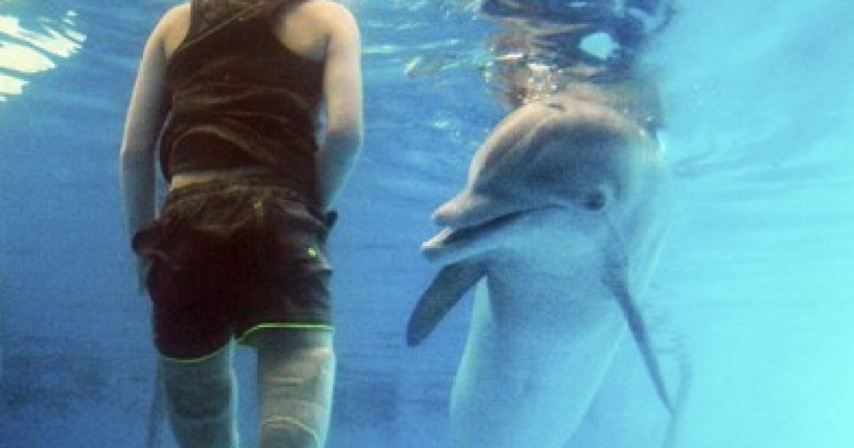 Famous Dolphin