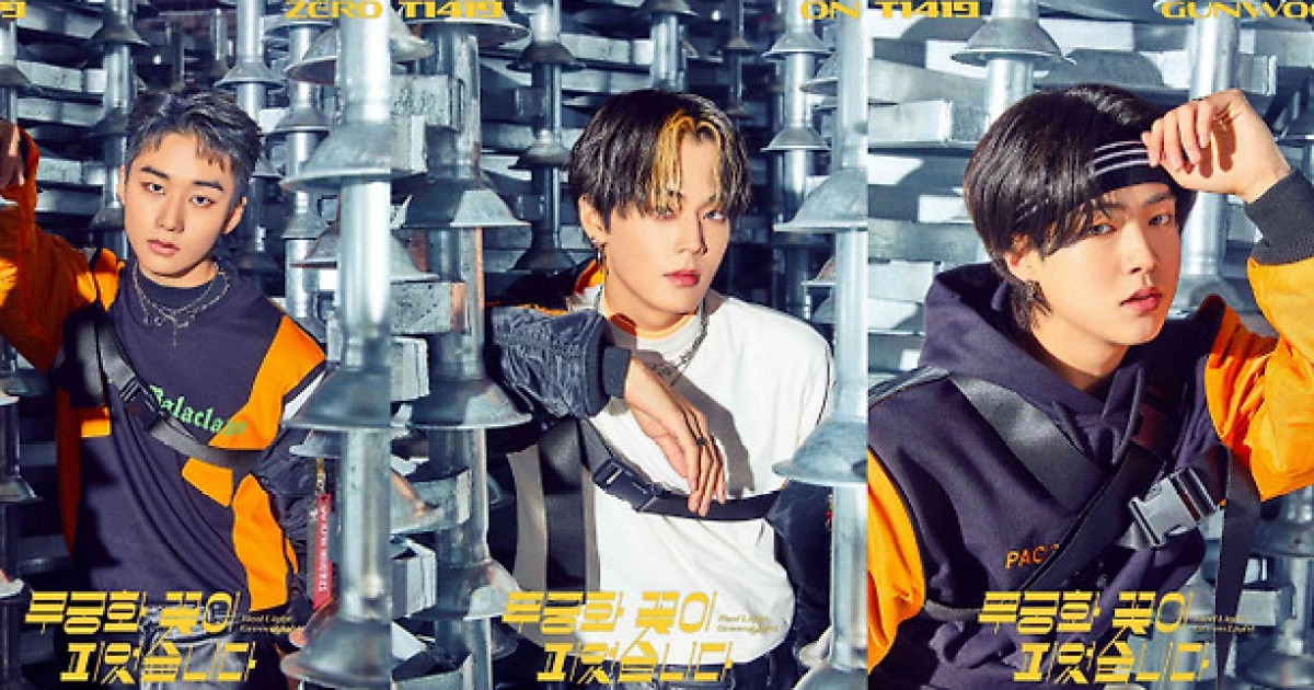 T1419, D-7 '비주얼 꽃이 피었습니다'