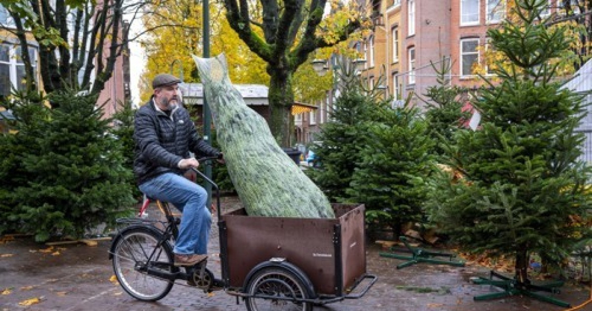 NETHERLANDS CHRISTMAS