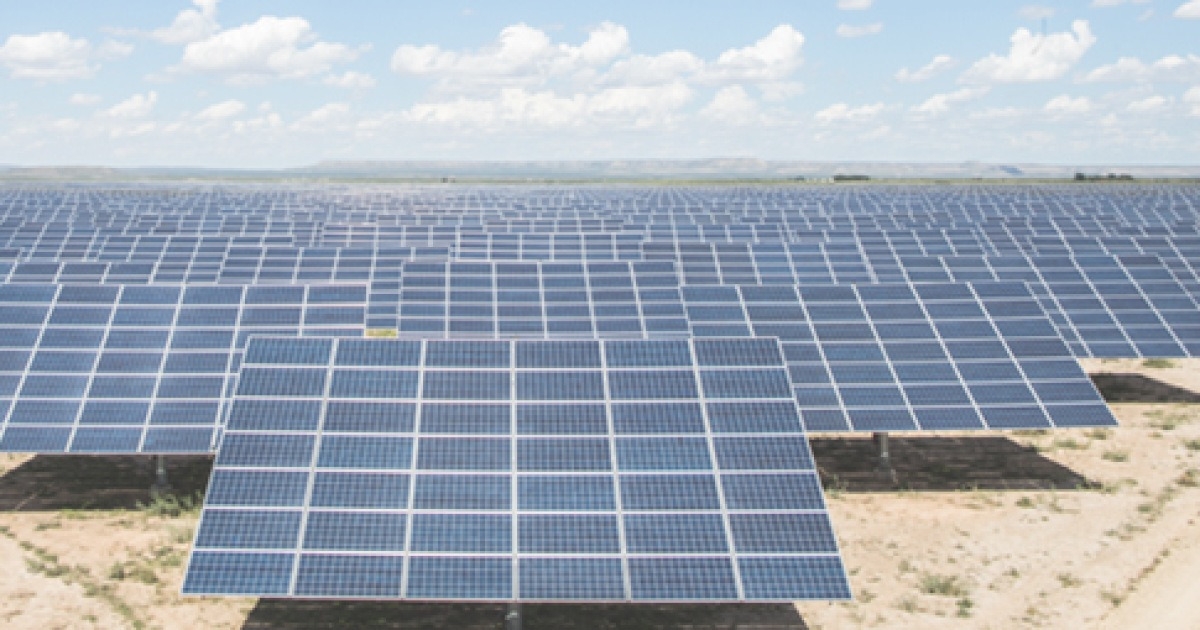 OCI bets big on solar energy development in Texas after 10 yrs of entry