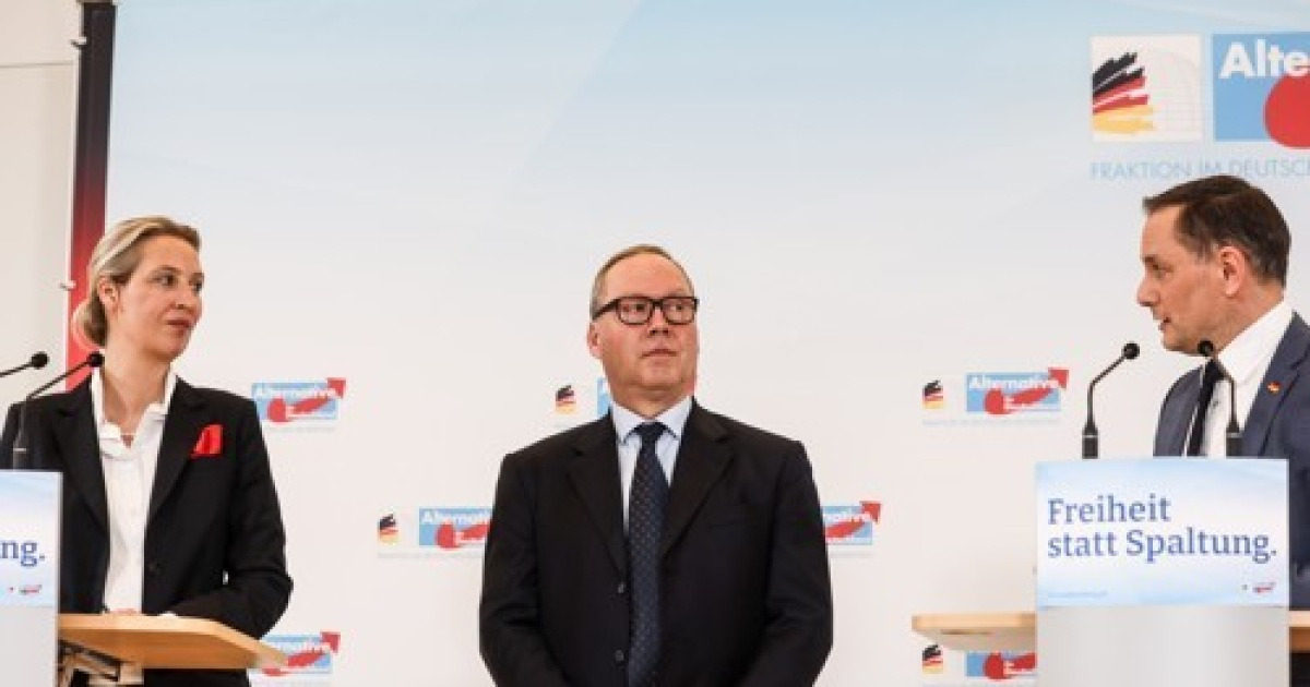 GERMANY AFD PRESIDENTIAL ELECTIONS