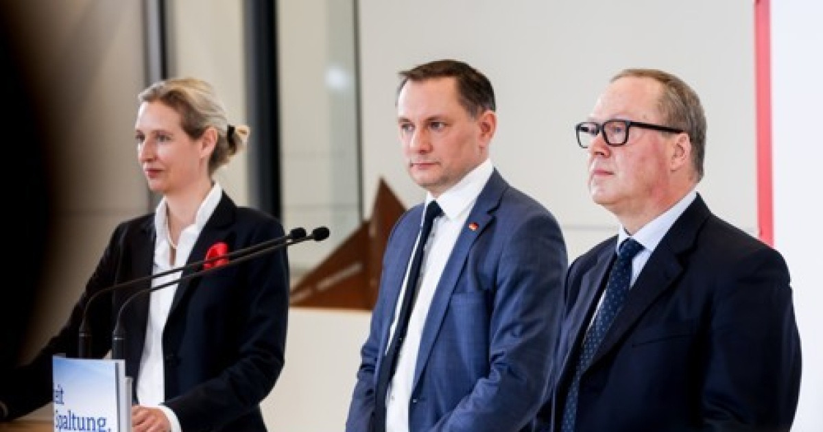 GERMANY AFD PRESIDENTIAL ELECTIONS