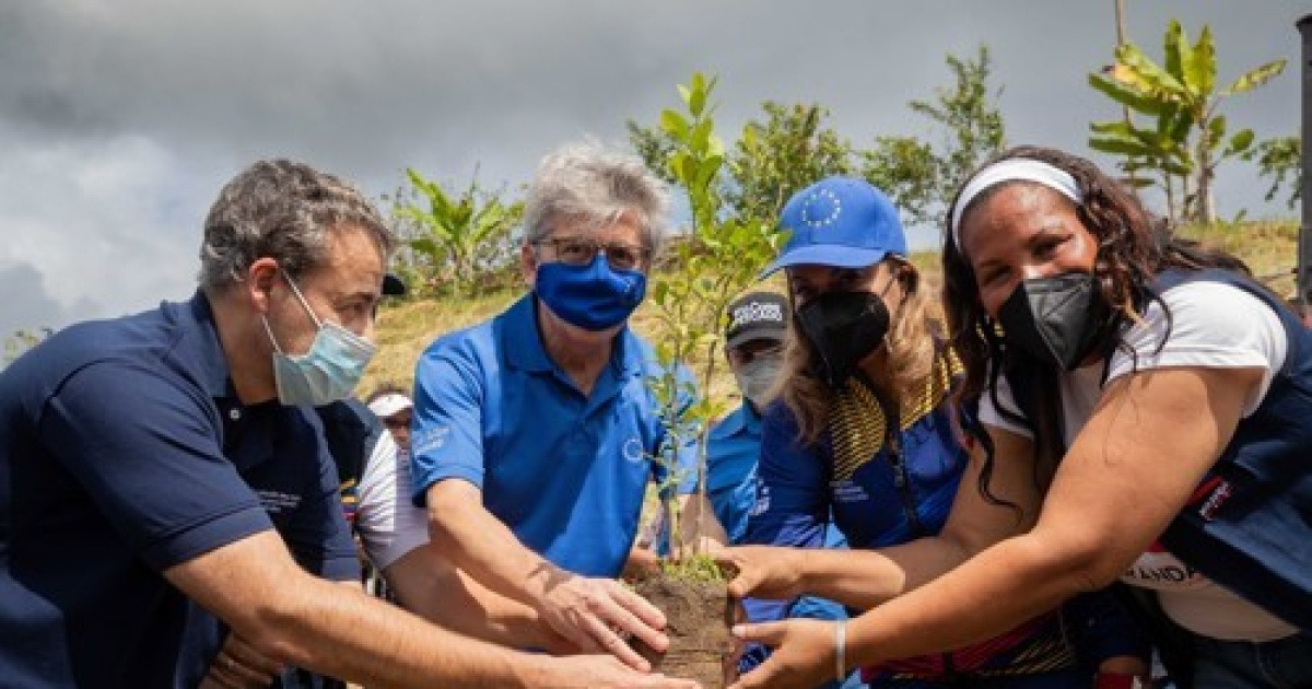 VENEZUELA AGRICULTURE FAO EU