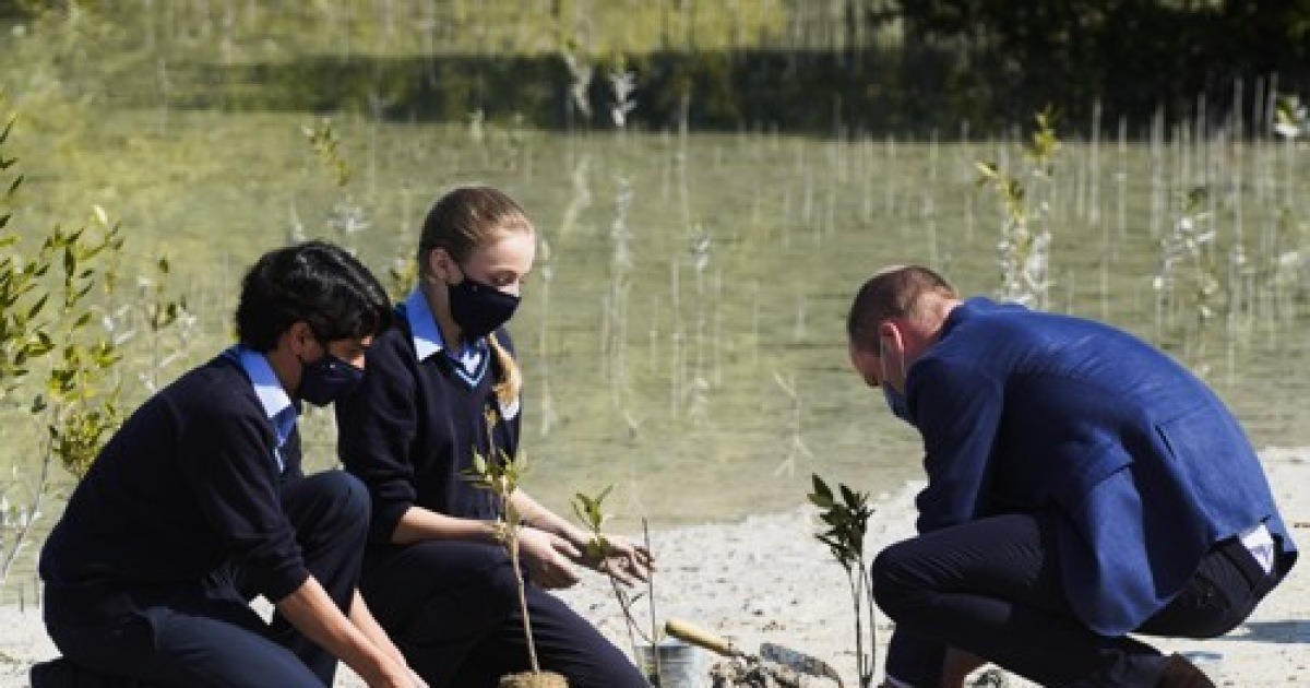 CORRECTION Emirates Prince William