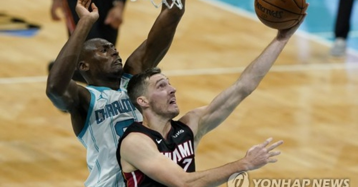 Nets Dragic Basketball