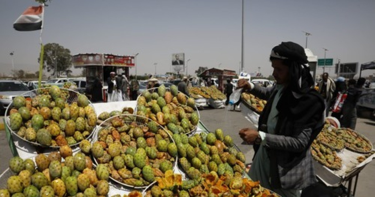YEMEN FRUIT PRICKLY PEARS