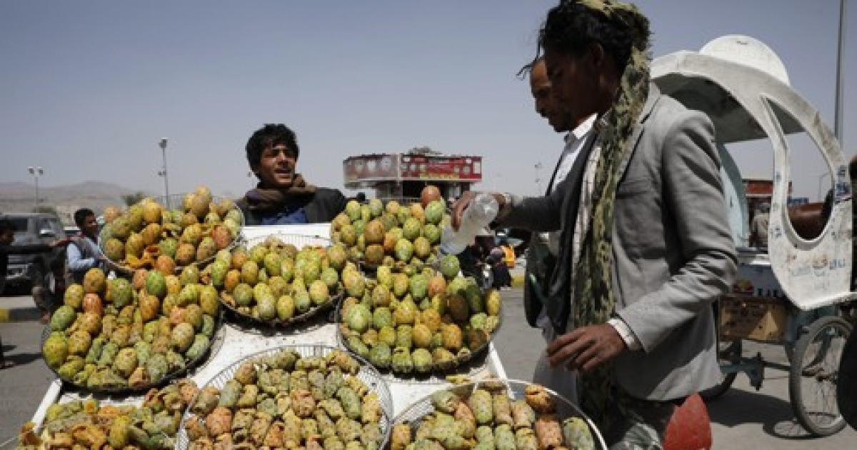 YEMEN FRUIT PRICKLY PEARS