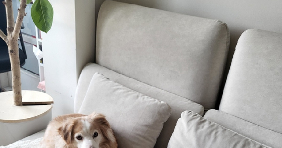 After a year of trials and tribulations, Bori finally feels at home