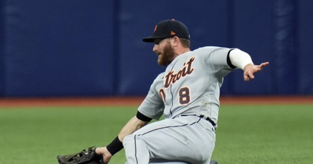 Tigers Rays Baseball