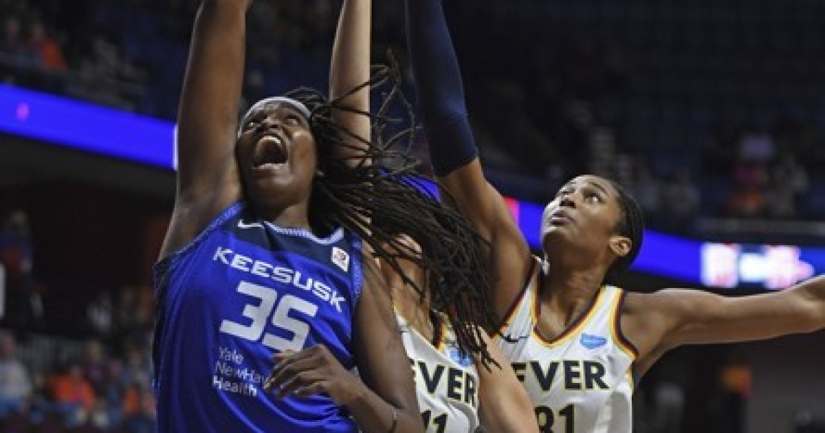 Fever Sun Basketball