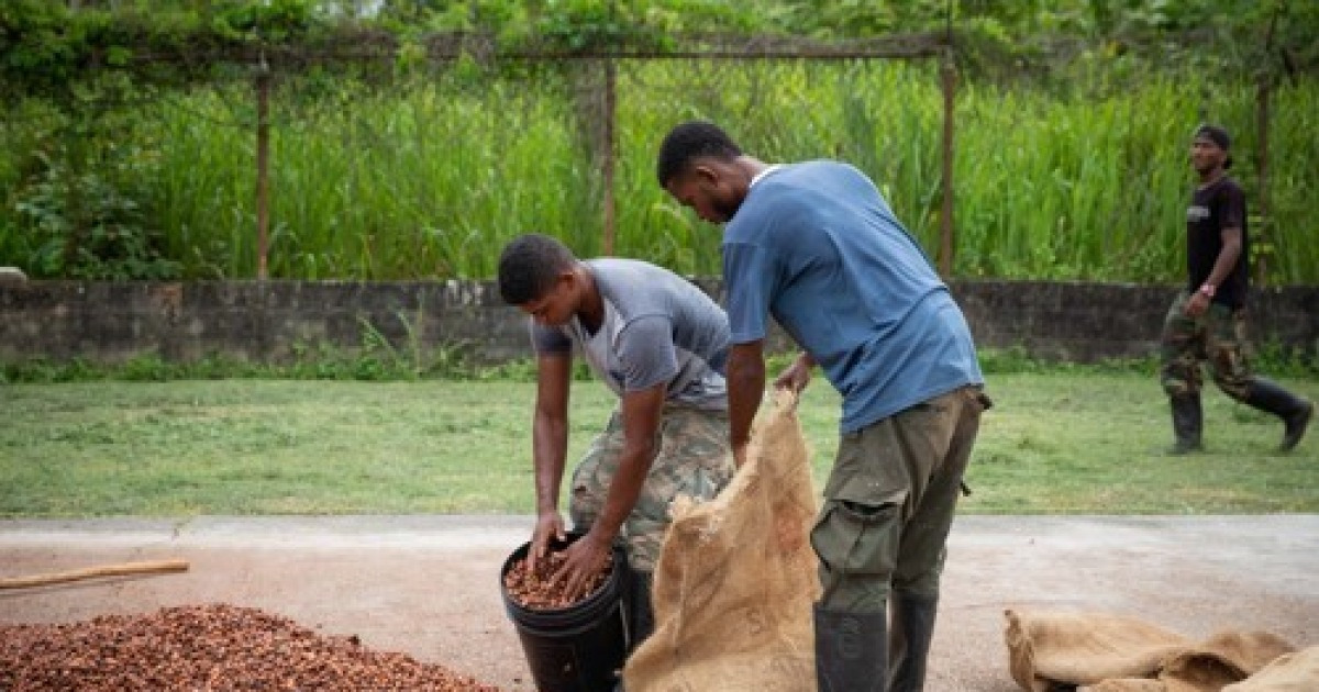 VENEZUELA AGRICULTURE