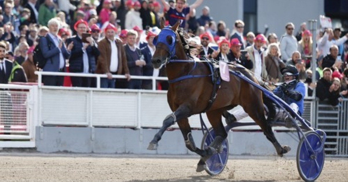 SWEDEN HARNESS RACING ELITLOPPET