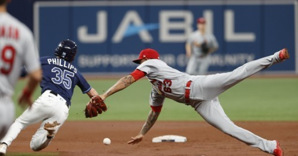 Cardinals Rays Baseball