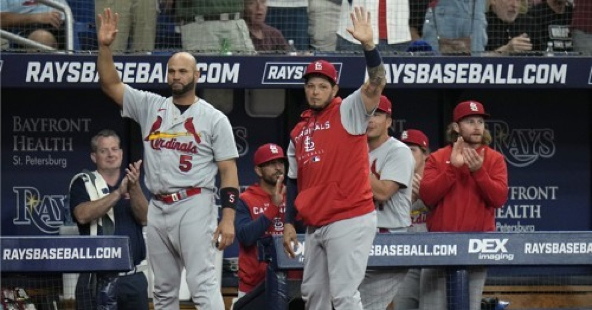 Cardinals Rays Baseball