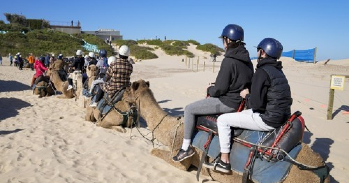 Australia Daily Life