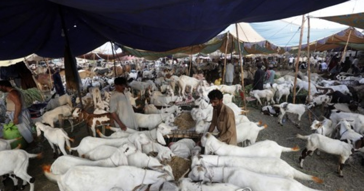 Pakistan Eid al-Adha