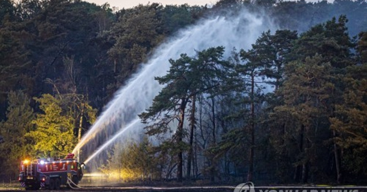 Germany Forest Fire