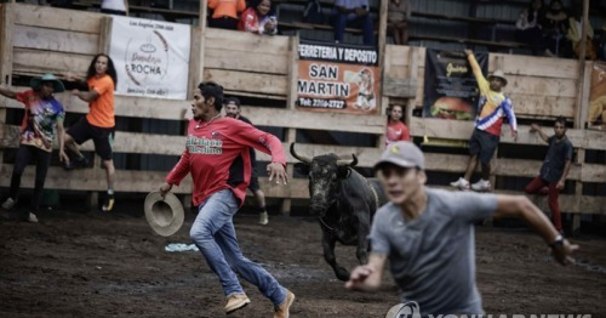 COSTA RICA BULLFIGHTING