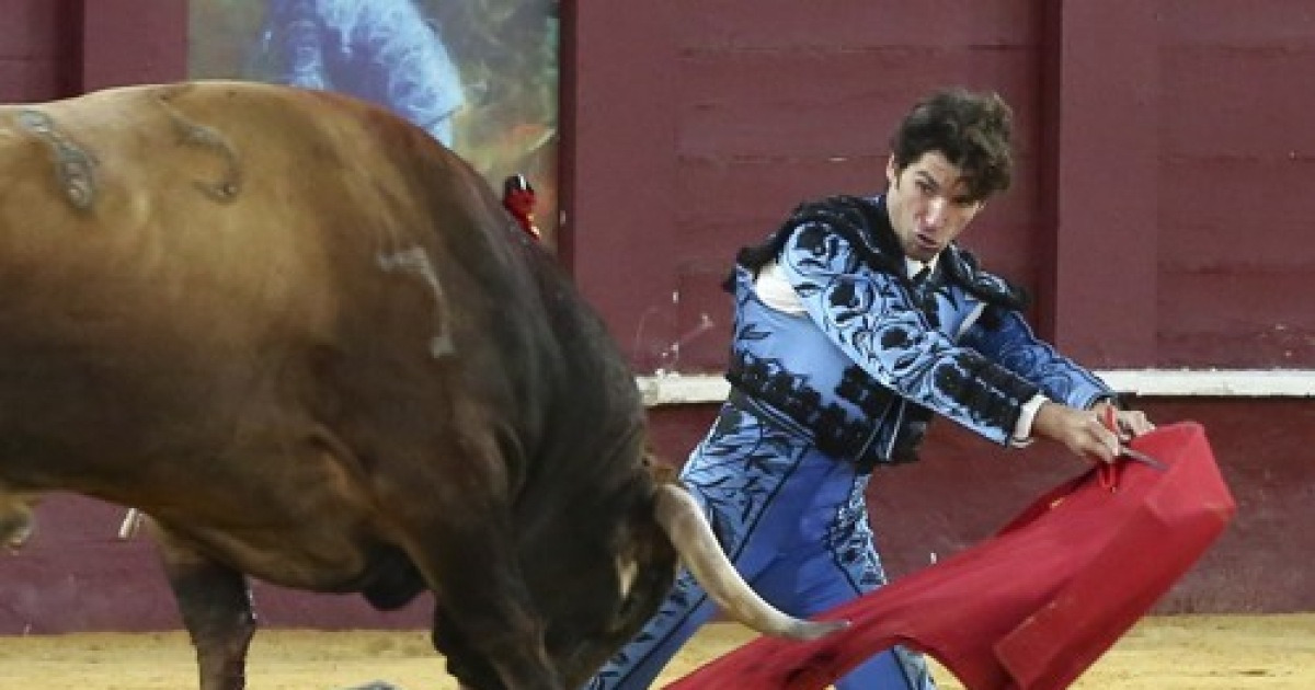 SPAIN BULLFIGHTING MALAGA