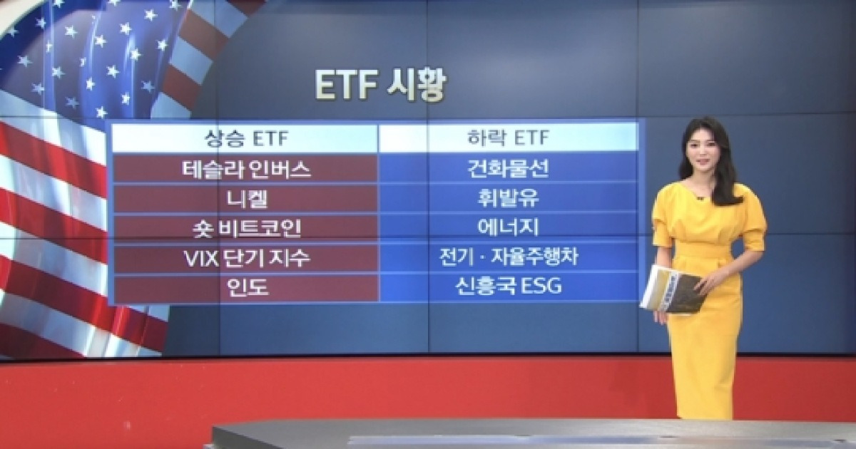8월 31일 ETF 시황..TSLS·INDA ETF [글로벌 시황&이슈]