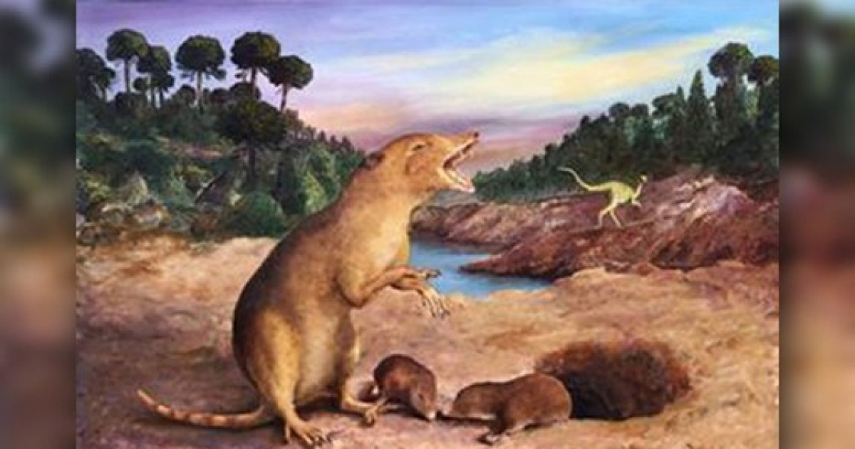 2억 2500만 년 전 지구에 살았던 '최초의 포유류' 발견..생김새 보니