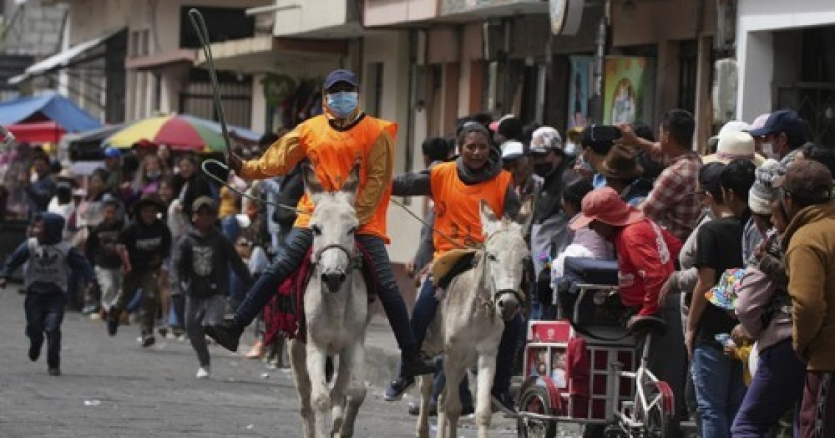 Ecuador Donkey Competition