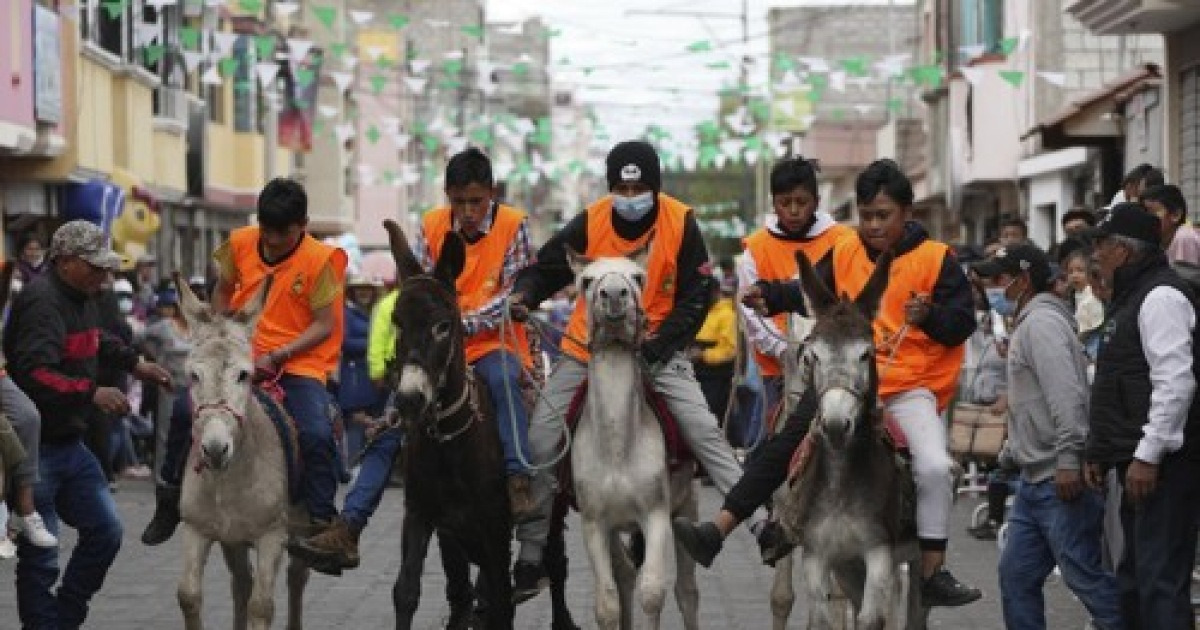Ecuador Donkey Competition